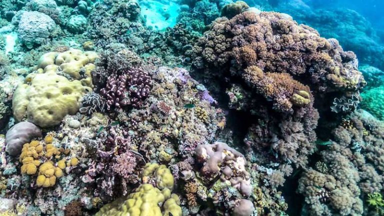 Taka Bonerate: The Real Hidden Gem of South Sulawesi | Peek Holidays