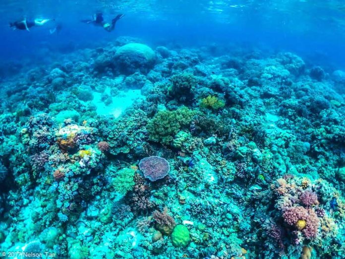 Taka Bonerate: The Real Hidden Gem of South Sulawesi | Peek Holidays