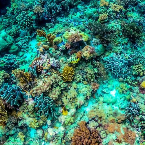 Taka Bonerate: The Real Hidden Gem of South Sulawesi | Peek Holidays