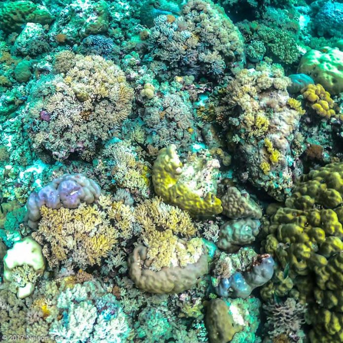 Taka Bonerate: The Real Hidden Gem of South Sulawesi | Peek Holidays